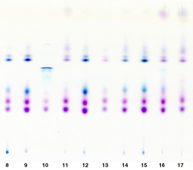 Thin Layer Chromatography (TLC) - Pt. 1