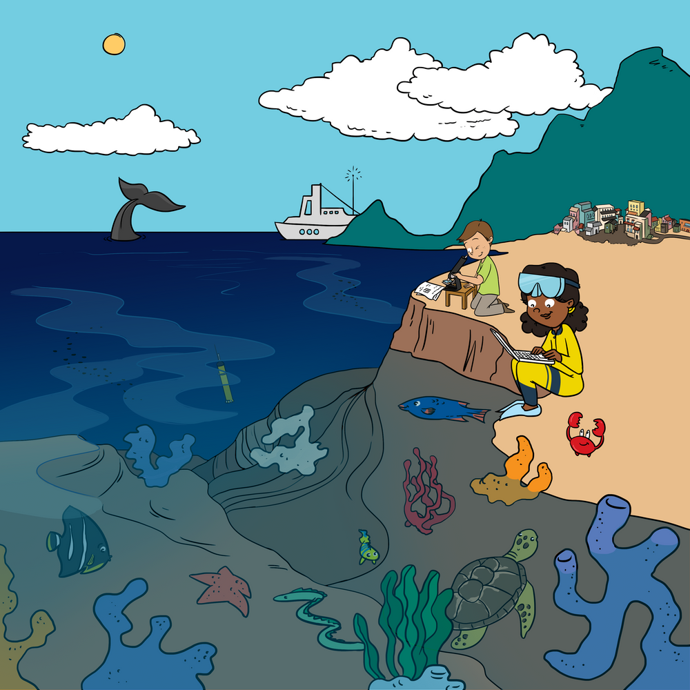 The Ocean Collection