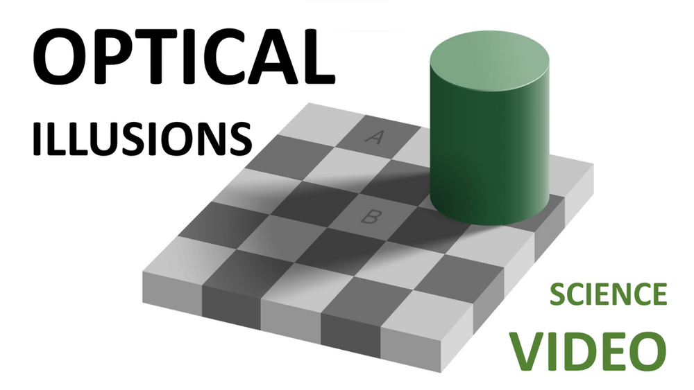 Video Based Quiz: optical illusions
