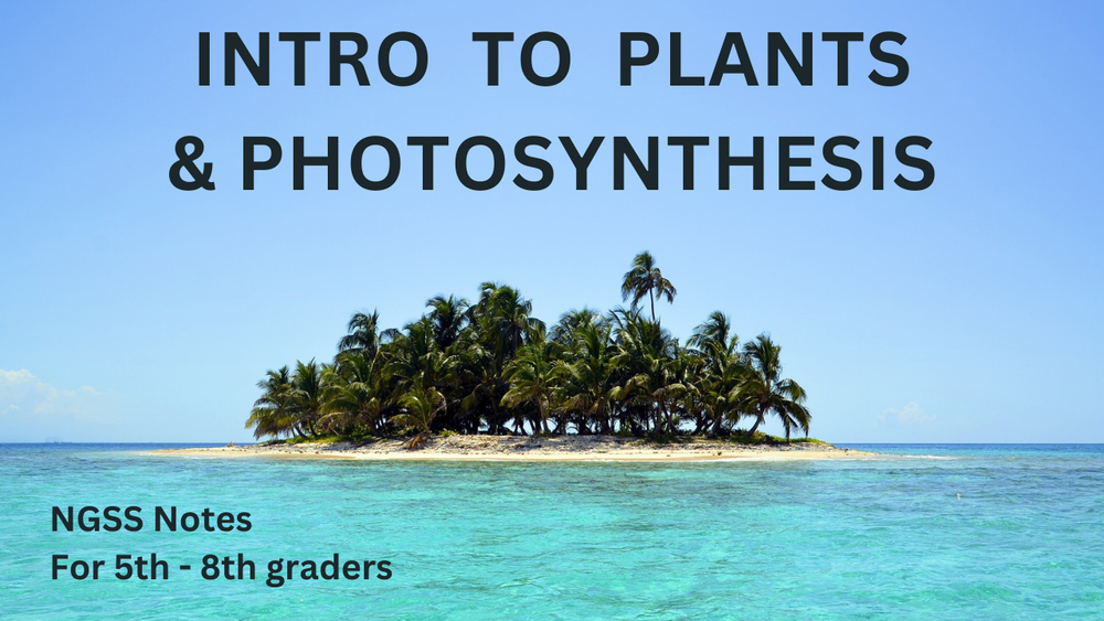 Introduction to Plants and Photosynthesis