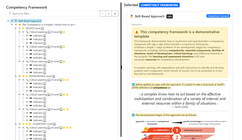 Skill-Based Approach Competency Framework